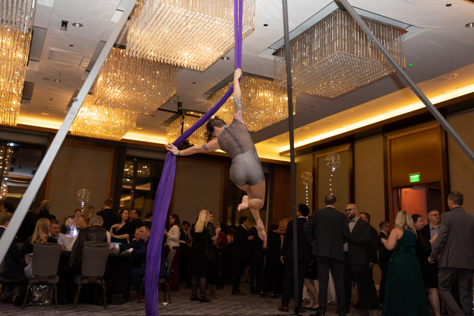 Why Are Circus Performers So Expensive? - Aerial Cirque Over Denver